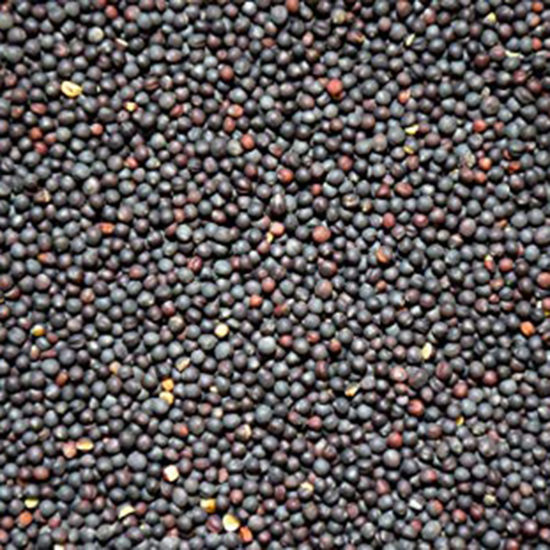 Deer/Food Plot – J & J Feeds and Needs